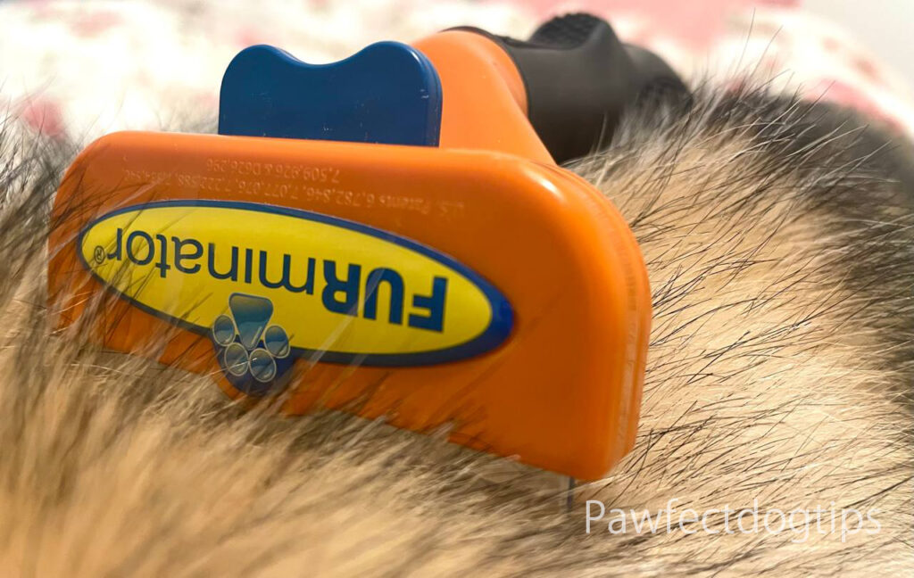 Is the Furminator Good For Dogs? An In-Depth Review - Pawfect Dog Tips