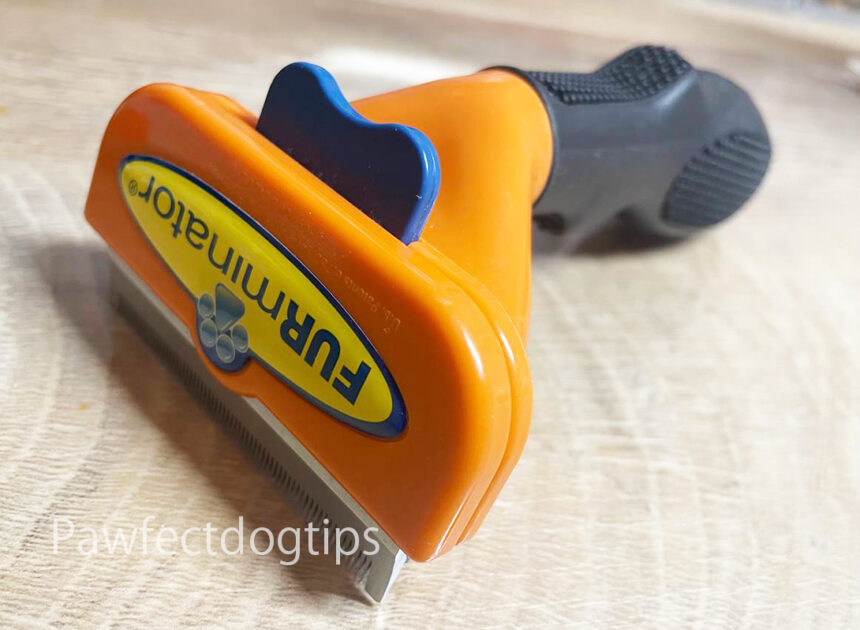 Is the Furminator Good For Dogs? An In-Depth Review - Pawfect Dog Tips